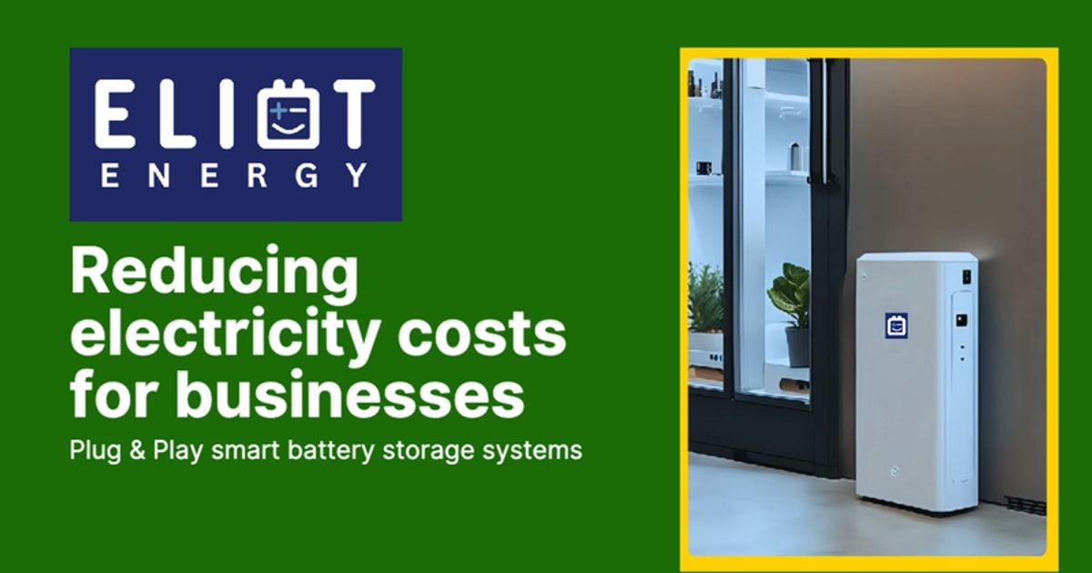 Plug & Play smart battery storage systems